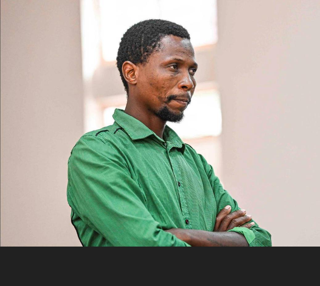 20 YEARS’ DIRECT IMPRISONMENT FOR BRUTAL FARM ATTACK ON AWARD-WINNING ...